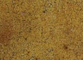 Concrete Floor Stain - Butterfield Color Elements | XPS